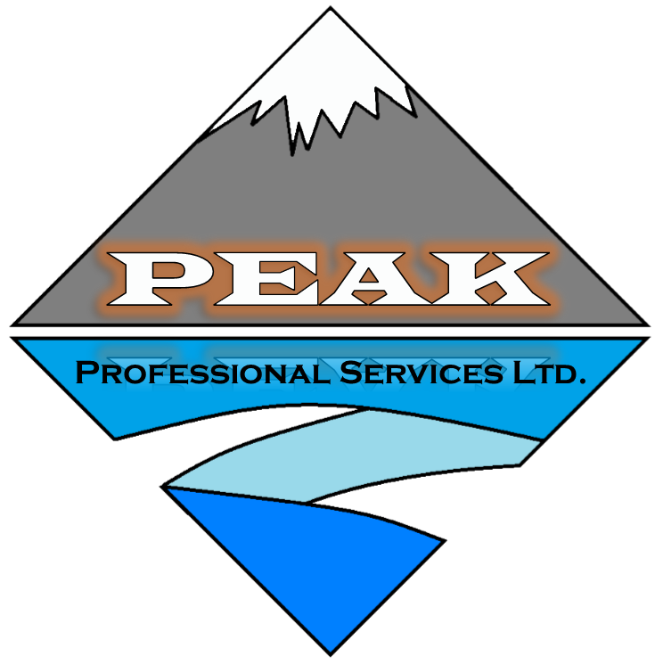 Adding a Flush Beam to Remove a Load Bearing Wall - Peak Professional ...